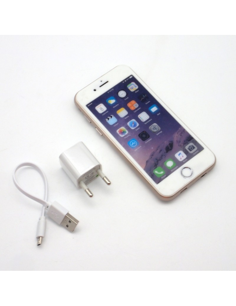 Taser Electrique avec lampe LED - apparence iPhone 6